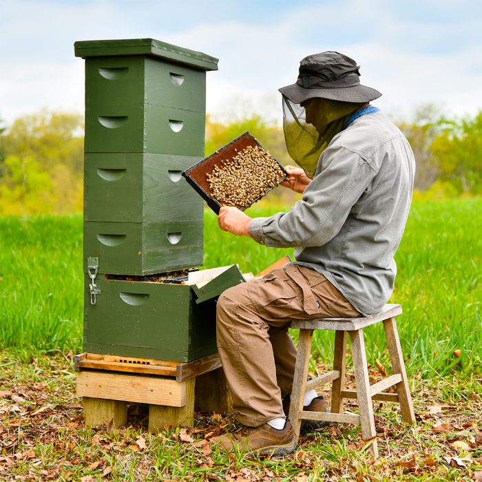 The Keeper's Hive: An Easier Way To Manage Bees by Dave McNeeley ...