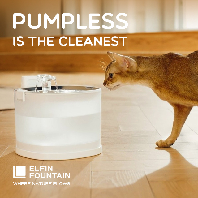 Elfin Fountain: Pumpless Pet Water Fountain by Elfin Fountain - Indiegogo