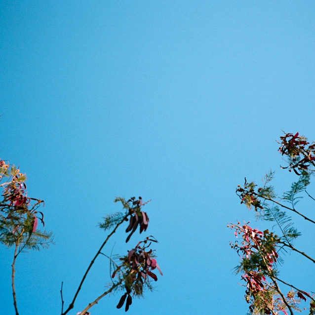 Help me smile again by Lyson Marchessault - Indiegogo