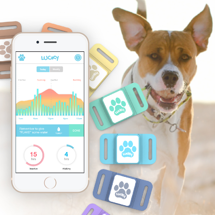 Lucky Tag: A Smart Way to Care For Your Dog by William Tsuei - Indiegogo