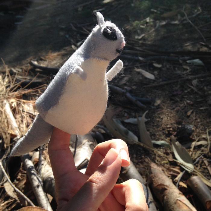 Momonga Cuban Squirrel What? by Nano Arenado - Indiegogo