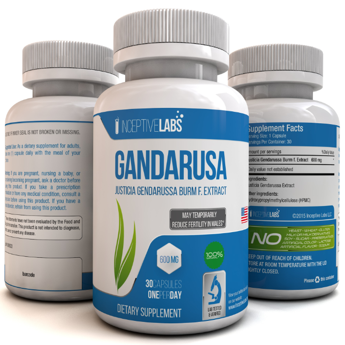 Gandarusa - The Male Birth Control Project by Dylan Jacob - Indiegogo