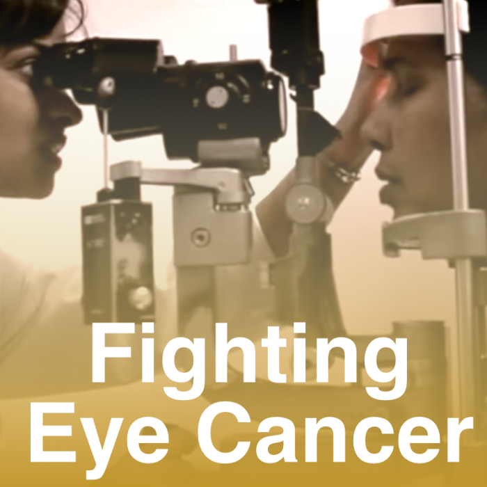 eyeDOcare: Fighting Eye Cancer in India by Priya Mittal - Indiegogo
