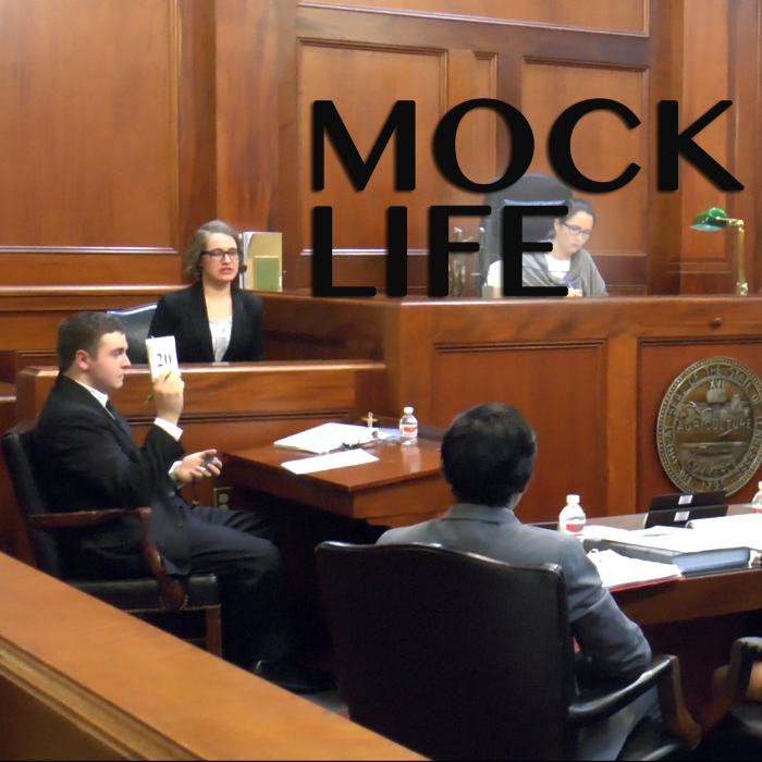 Mock Life by Sara Kaye Larson - Indiegogo