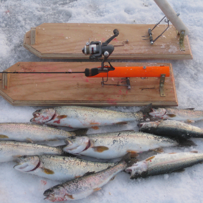 Ak Fish Trap by Ak Salmon Bear LLC by Macey Shapiro - Indiegogo