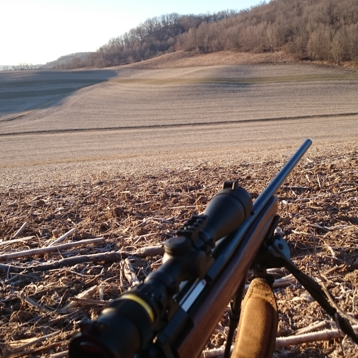 Public Rifle Range and Firearms Resource Center by Matthew Snorek ...
