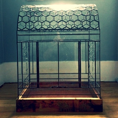 Terrariums made from reclaimed glass and wood. by Chad Ackley - Indiegogo
