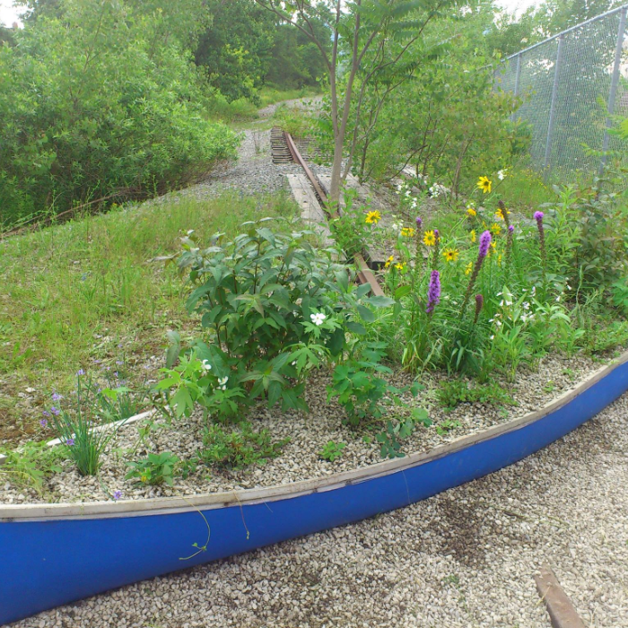 Perth Avenue P.S. Canoe Garden by Shona Kennedy - Indiegogo