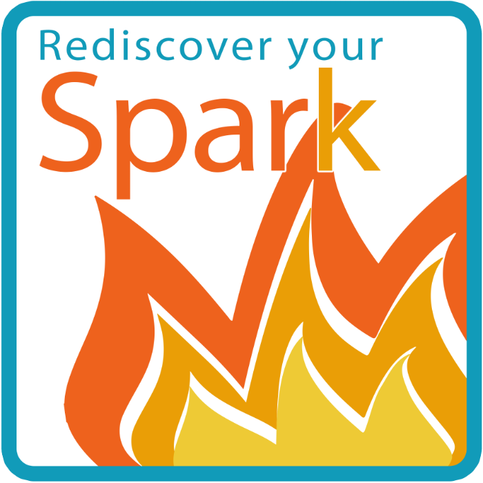 Rediscover Your Spark by Kevin Lewis - Indiegogo
