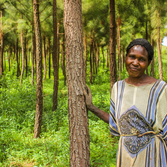 Spreading roots: Women's reforestation in Uganda by Molly Payne - Indiegogo