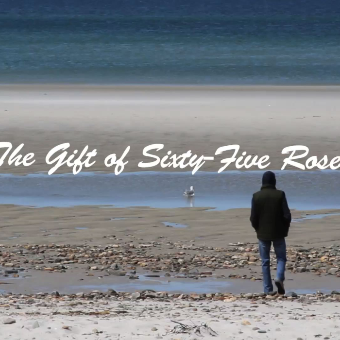 The Gift of Sixty-Five Roses by Nicholas Russo - Indiegogo