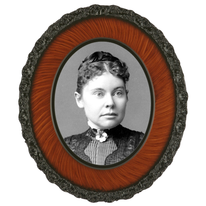 Defending Lizzie by Jerry Orzel - Indiegogo