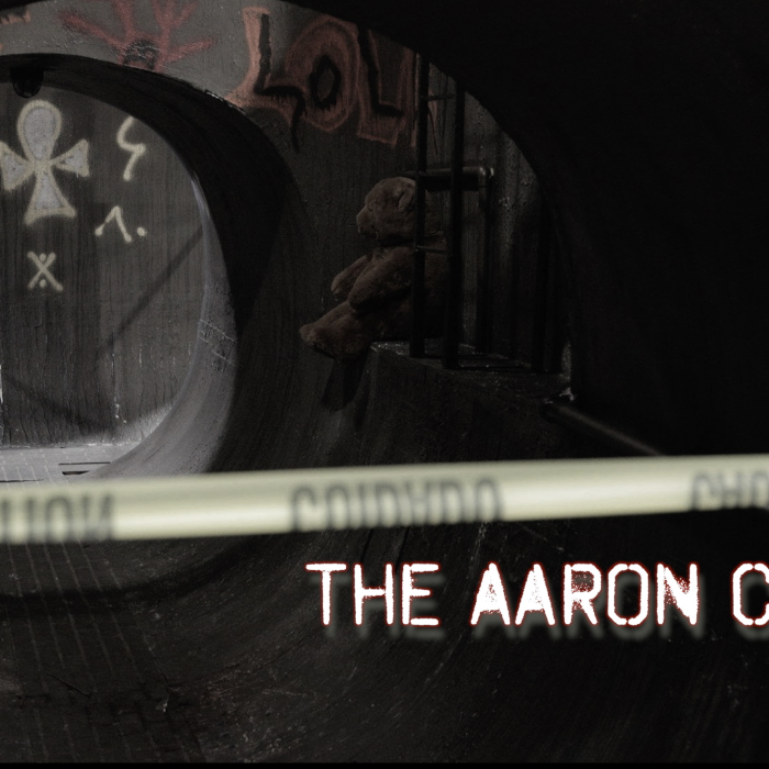 The Aaron Case by Sarah Goras Peterson - Indiegogo