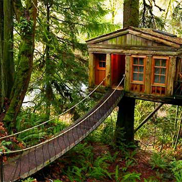 The Canopy by Amanda Gutowski - Indiegogo