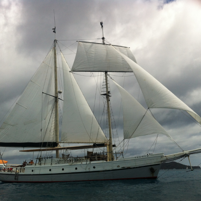 Caribbean Tall Ship Trader by Elisabeth Bryan - Indiegogo