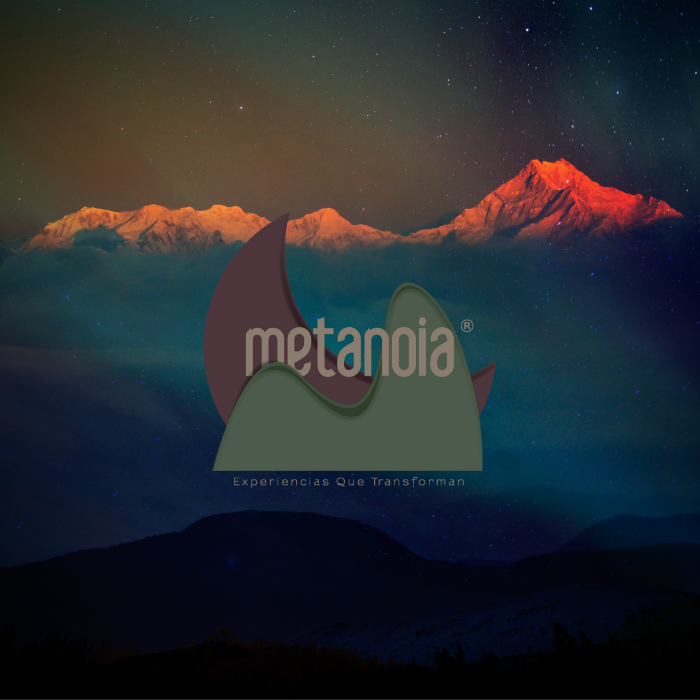 METANOIA - Where the transformation occurs by Carole Prouteau - Indiegogo