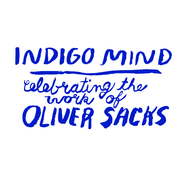 Indigo Mind by Arianne Gelardin + Cara Levine - Indiegogo
