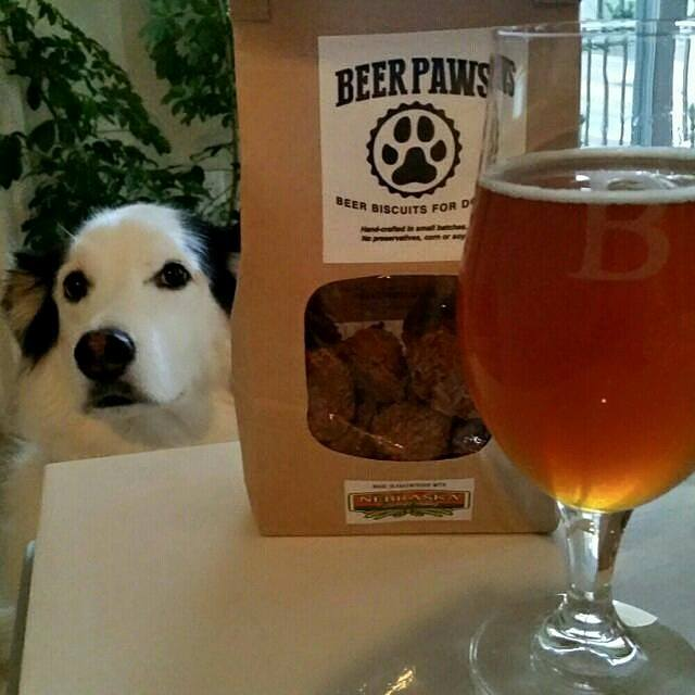 Beer Paws Blast Off! by Crystal Wiebe - Indiegogo