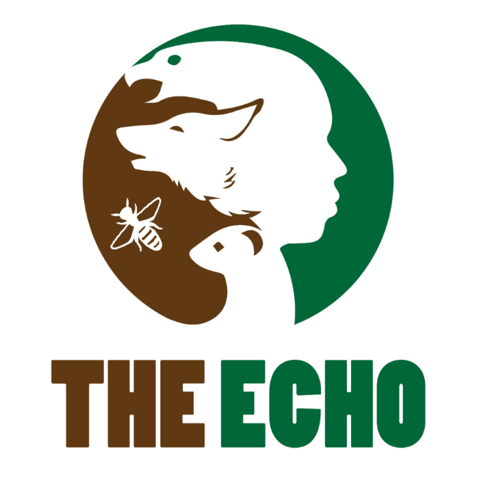 The Echo Film Series by Matthew Juneau - Indiegogo