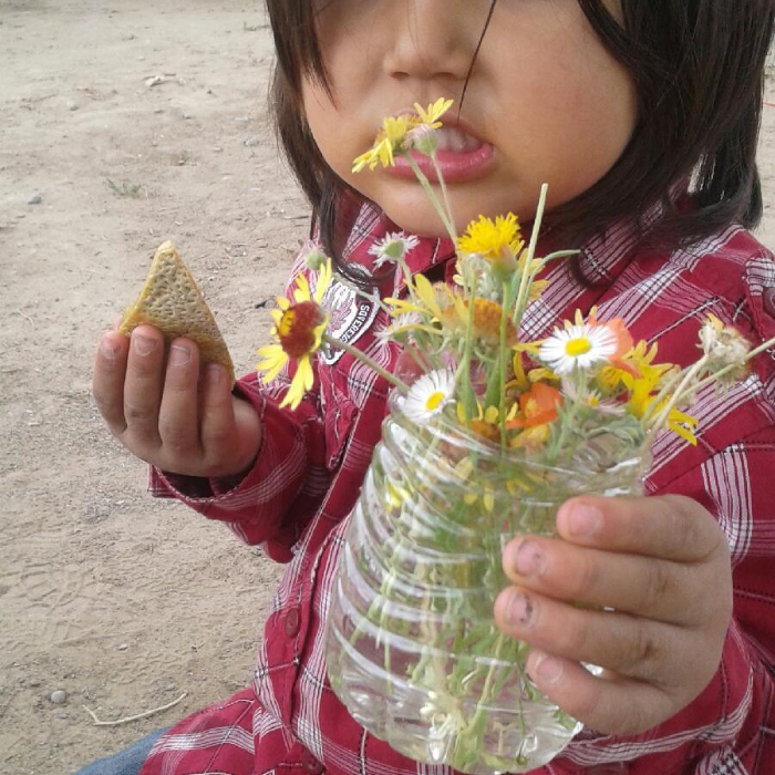 Navajo Land Permeaculture Apiary by Joseph Chinnock - Indiegogo