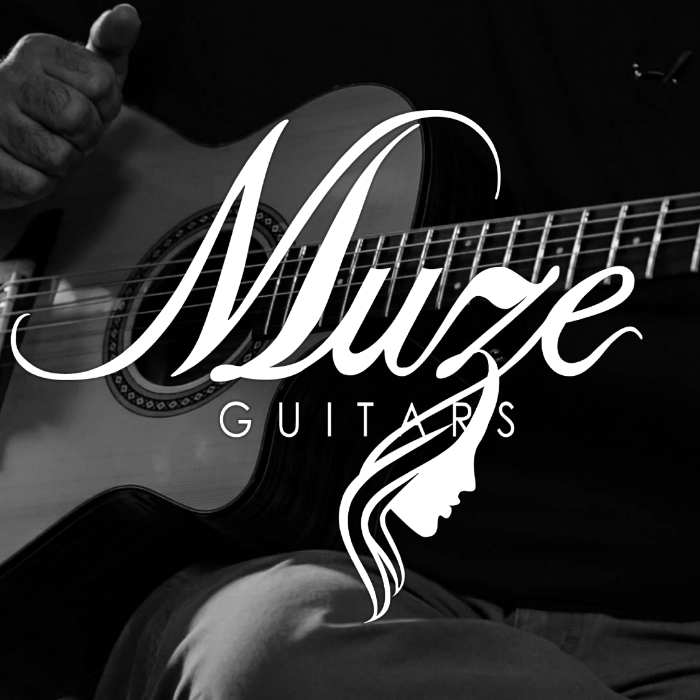 Muze Guitars: Custom acoustic guitars for all! by Matt Desilet - Indiegogo