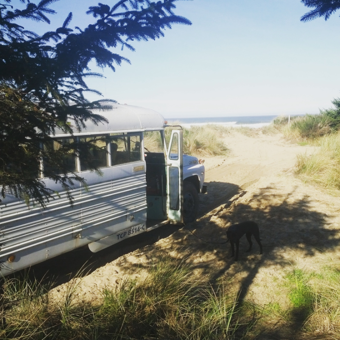 The Vagabus by softsign_5c94ee79-9f0a-4935-9149-e4ff32de5b1f - Indiegogo