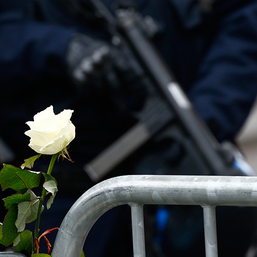 PLANTS VS ISIS AND THE REFUGEE CRISIS by Darren Akey - Indiegogo