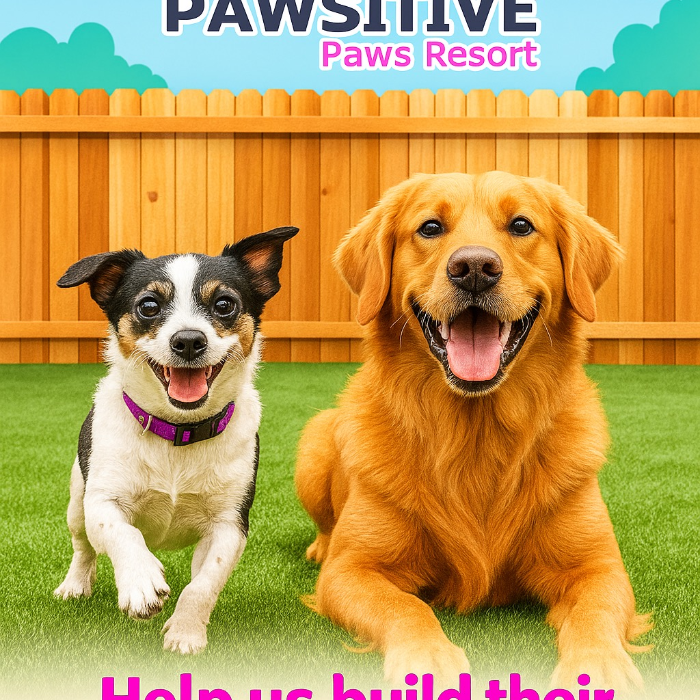 Help Build Pawsitive Paws Resort by Julie Griffin - Indiegogo