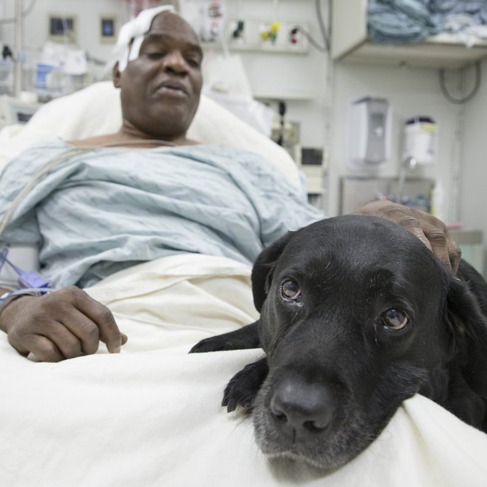 Help Cecil Williams keep his seeing eye dog Orlando by Grant Kirsh ...