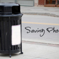 Saving Phoebe by Bridget Lappert - Indiegogo