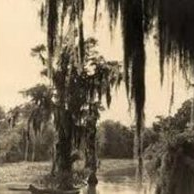 Blood Makes The Red River Flow:A Creole Historical Drama by Stephanie ...