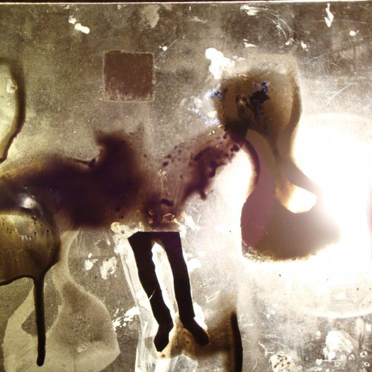 Cassia Project by Anna Vigeland - Indiegogo
