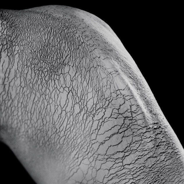 A Transformation of Flesh by Helen Maringer - Indiegogo
