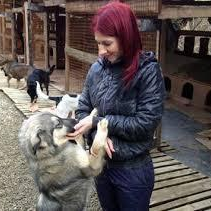 Sochi Strays by Anna Umansky - Indiegogo