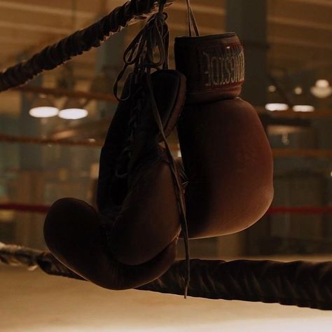 Low Blows by Sara Amadeo - Indiegogo