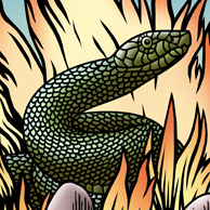The Burning Serpent Oracle by Robert Place - Indiegogo