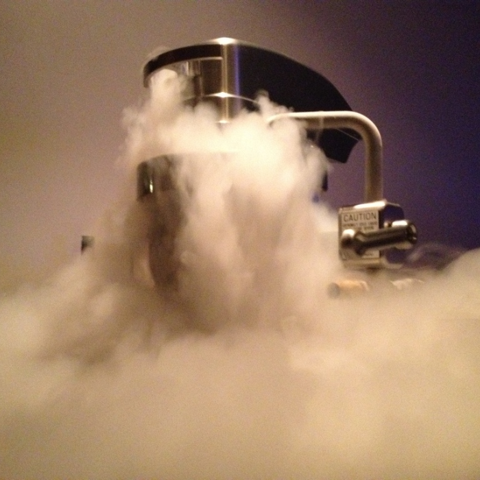 FREEZER BURN - Non-Dairy Ice Cream & Treats by Scot Rubin - Indiegogo