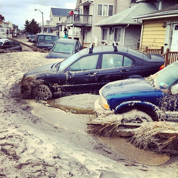 Help Long Beach by Liz Levin - Indiegogo