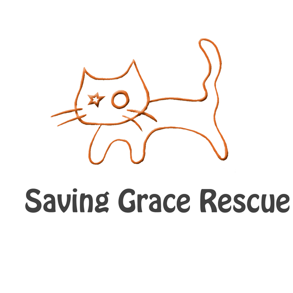 Saving Grace Rescue Expansion Fund by Saving Grace Rescue Inc - Indiegogo