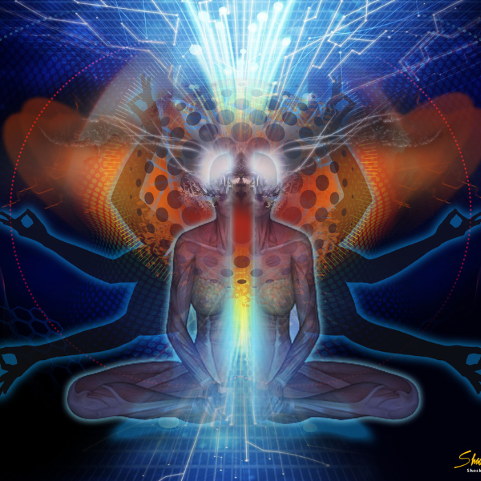 Shocking Artwork by Shawn Hocking - Indiegogo