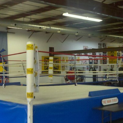 A fictional boxing novel: A Fighter's Chance by Gabriel Gonzalez ...