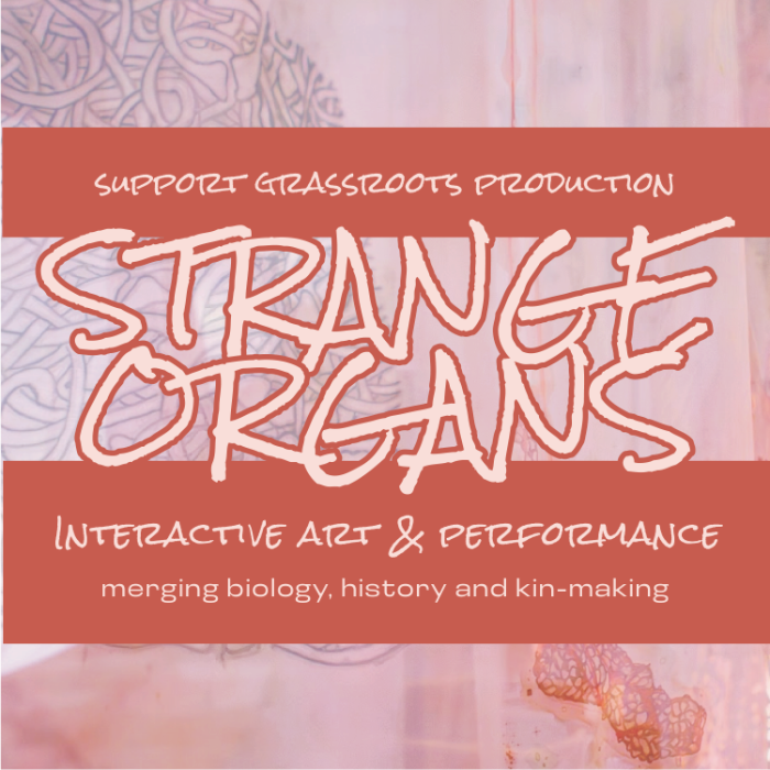 Strange Organs Fundraiser by Linden Julien-Lehr - Indiegogo