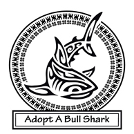 Adopt A Bull Shark! by Samantha Whitcraft - Indiegogo