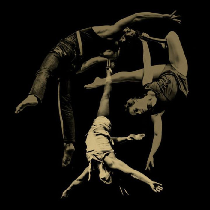 The Acrobatic Conundrum goes to the 1st Chicago Contemporary Circus ...