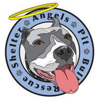 Support Shelter Angels Pit Bull Rescue by Rebecca Novak - Indiegogo