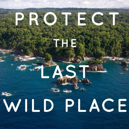 Saving Our Songbirds: Protecting the Last Wild Place by Osa ...