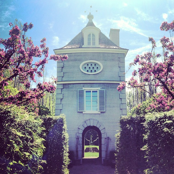 The Extraordinary Garden - Le jardin extraordinaire by Sébastien Chabot ...