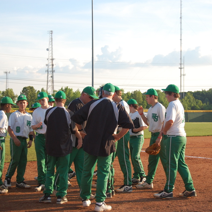 Baseball Fever by jill asher - Indiegogo