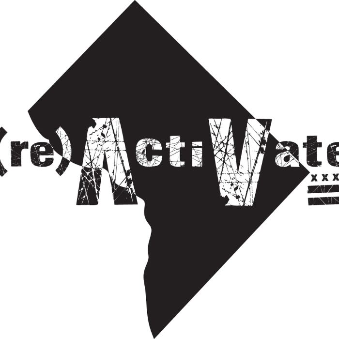 re-activate 2014 by Angie Goerner - Indiegogo
