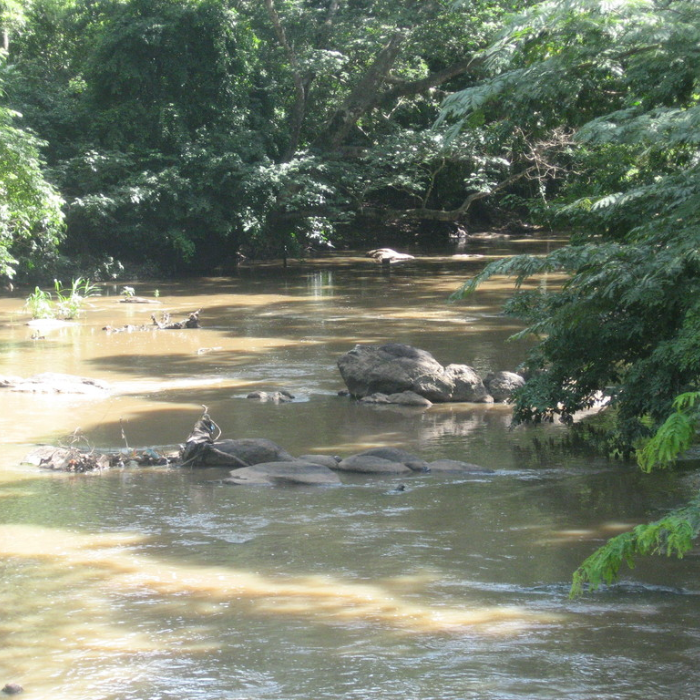Osun River Green Pilgramage Route by Omileye Achikeobi-Lewis - Indiegogo